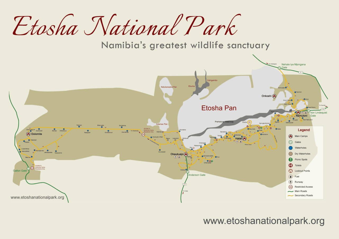 Etosha National Park Self-Drive Safari Travel Guide (Namibia)