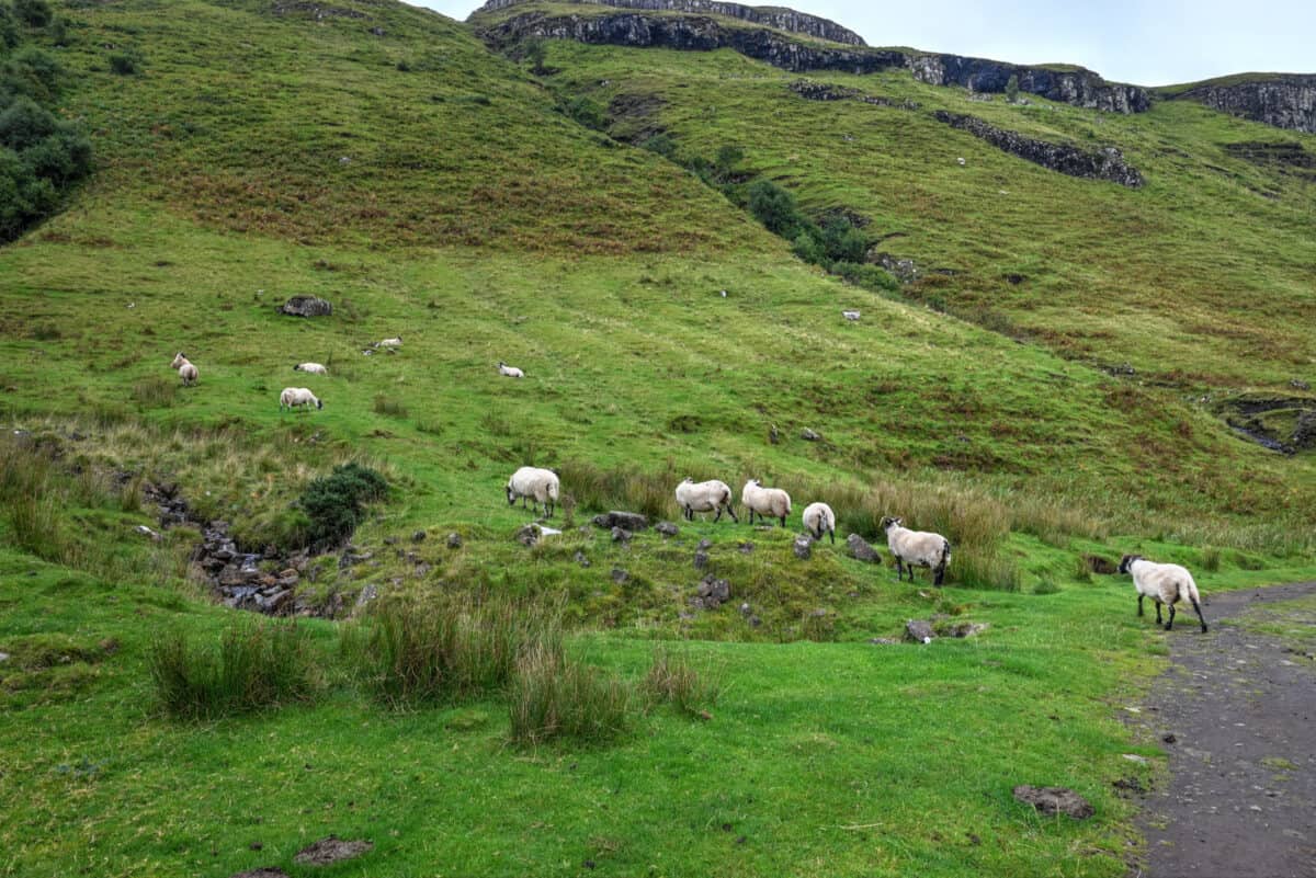 Talisker Bay: Hiking Guide to One of Skye's Most Unique Beaches and ...
