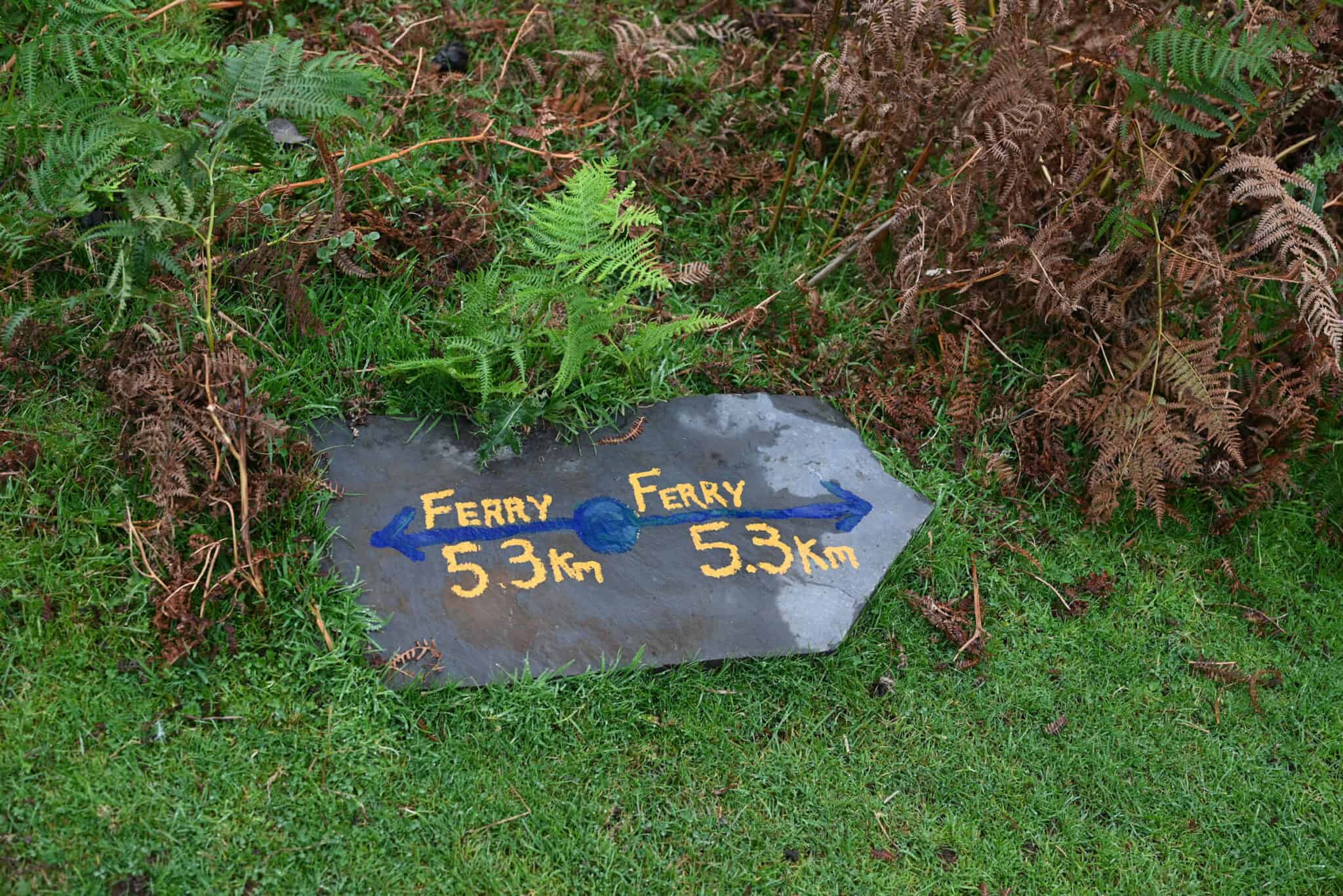 A Walk on the Green Isle of Kerrera: a Perfect Day Trip from Oban