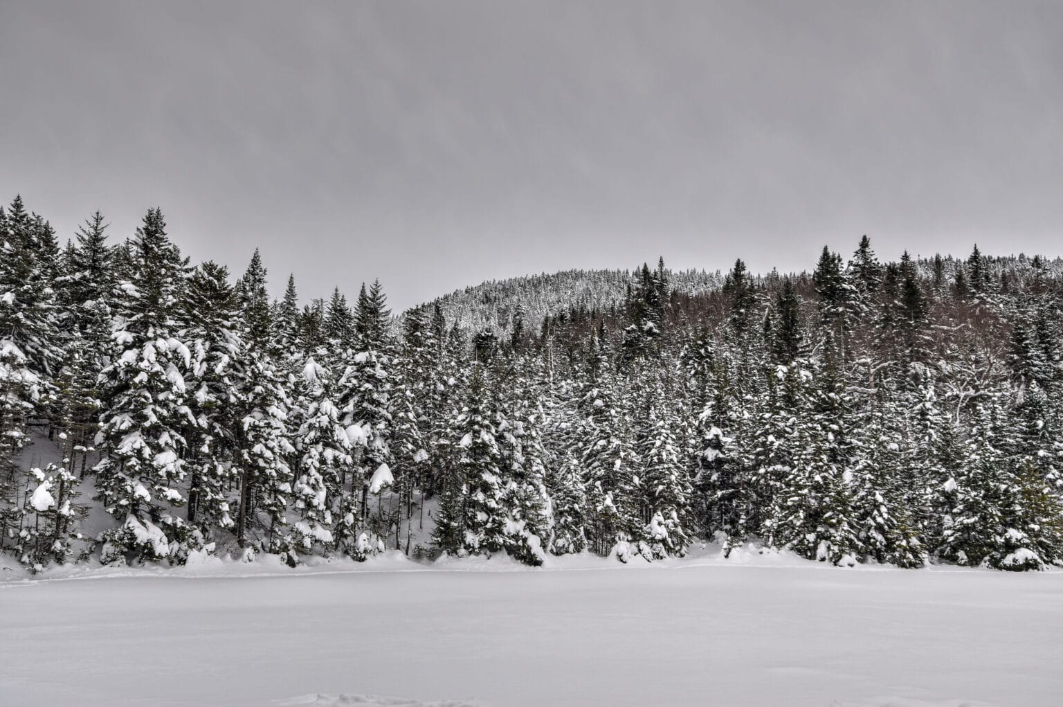 Best Winter Hiking Trails near Sutton