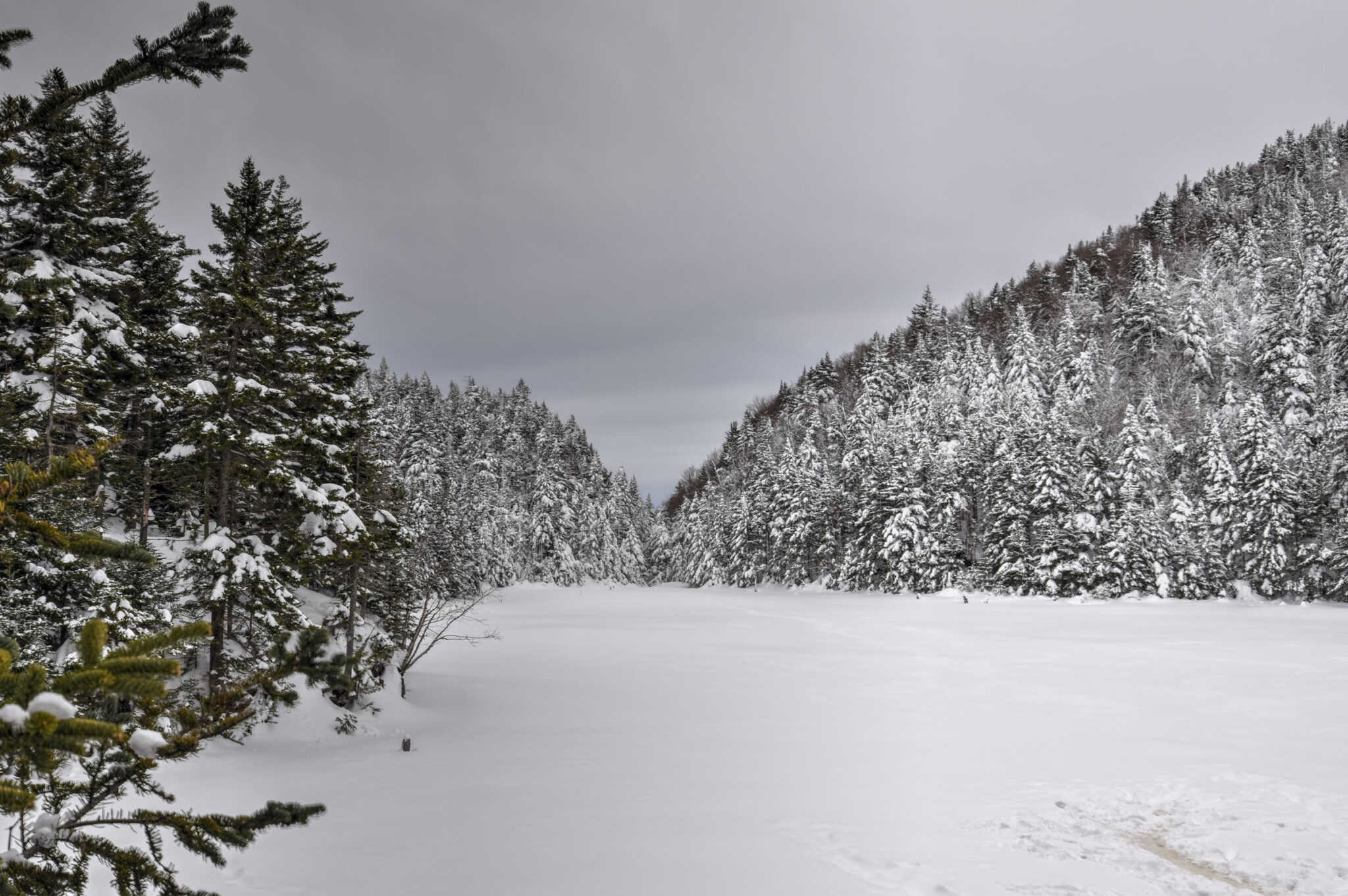 Best winter hiking trails near Sutton