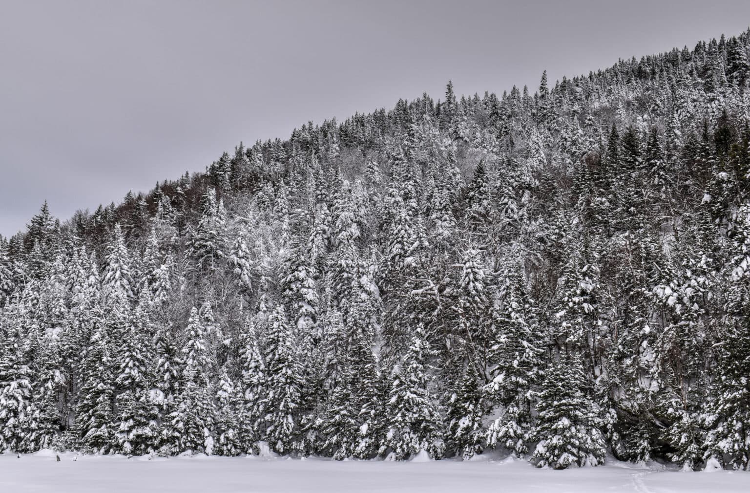 Best Winter Hiking Trails near Sutton
