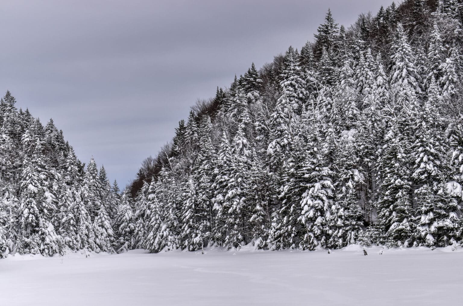 Best Winter Hiking Trails near Sutton