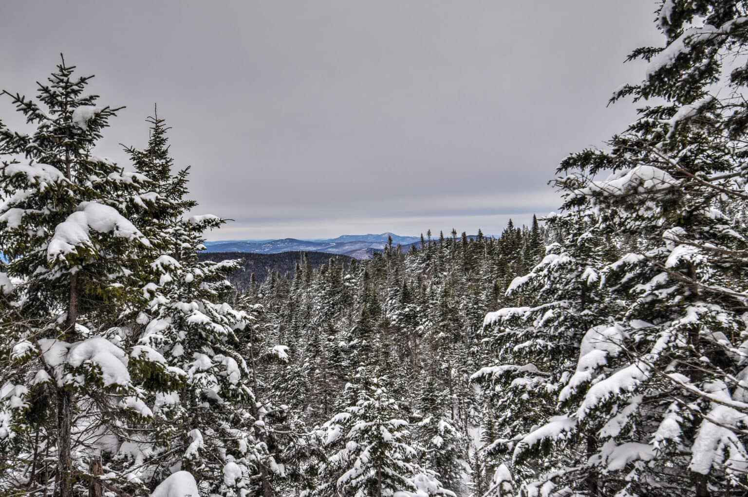 Sutton's Round Top and Lac Spruce - A Winter Hiking Guide