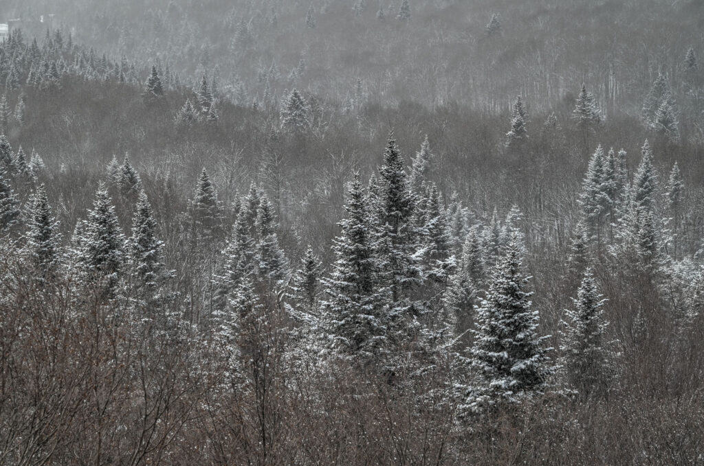 Mont Mégantic National Park - Best Trails and Hiking Guide