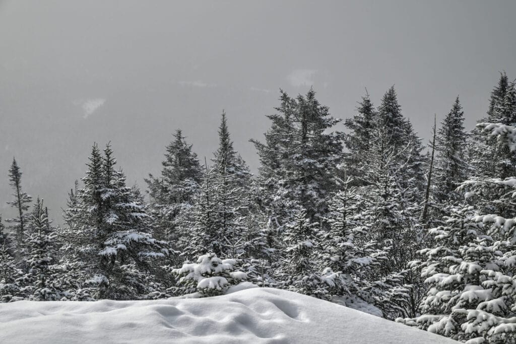 Mont Mégantic National Park - Best Trails and Hiking Guide