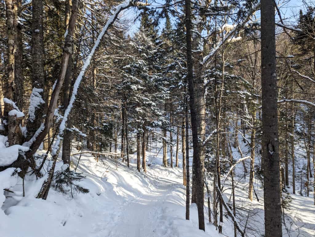 The Mont Mégantic Trail (Observatory) - A Winter Hiking Guide