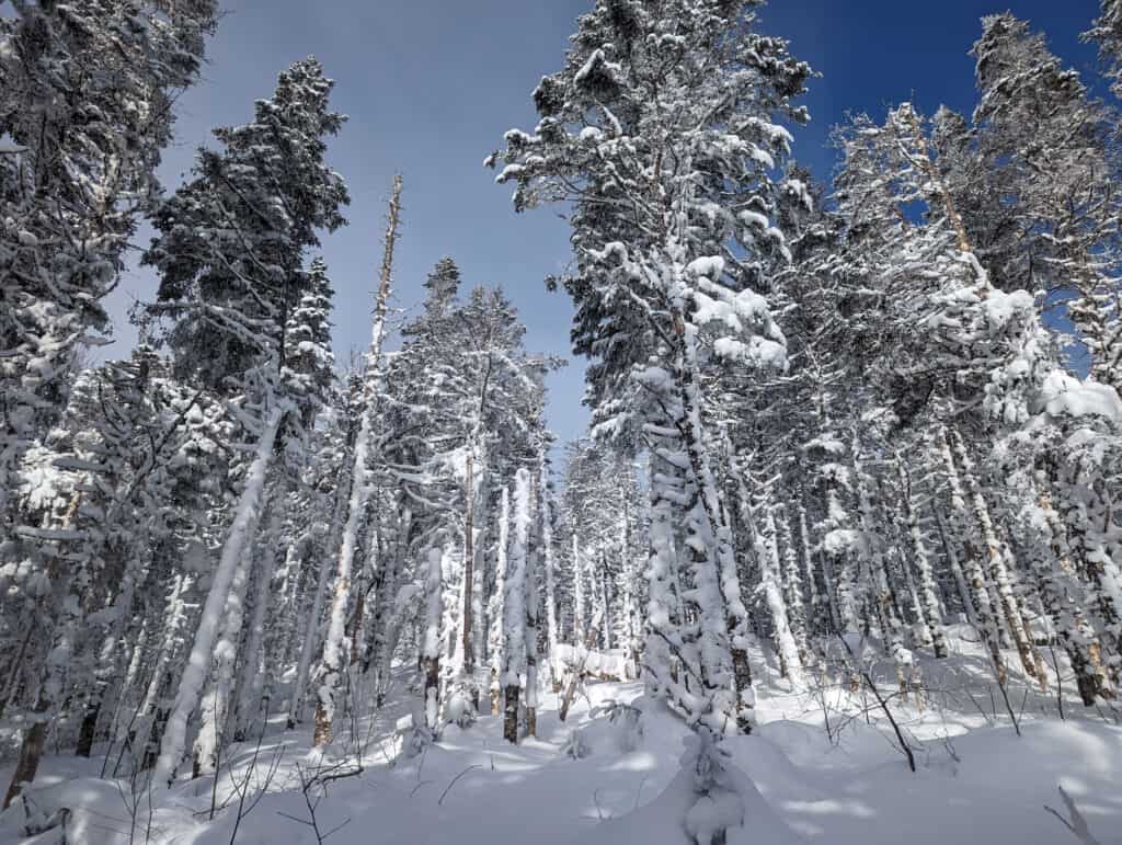 Mont Mégantic National Park - Best Trails and Hiking Guide