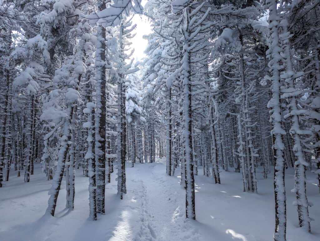 Mont Mégantic National Park - Best Trails and Hiking Guide