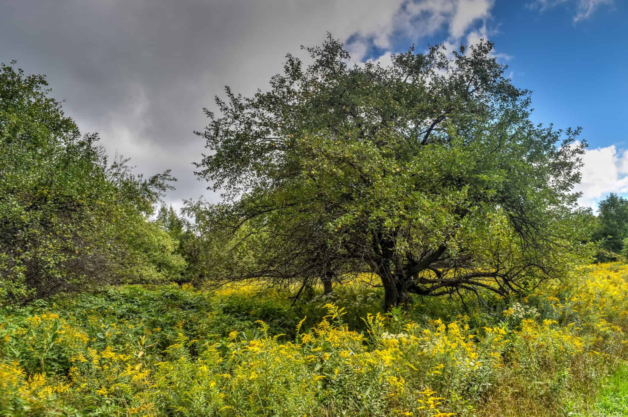 Yamaska National Park - Best Trails and Hiking Guide