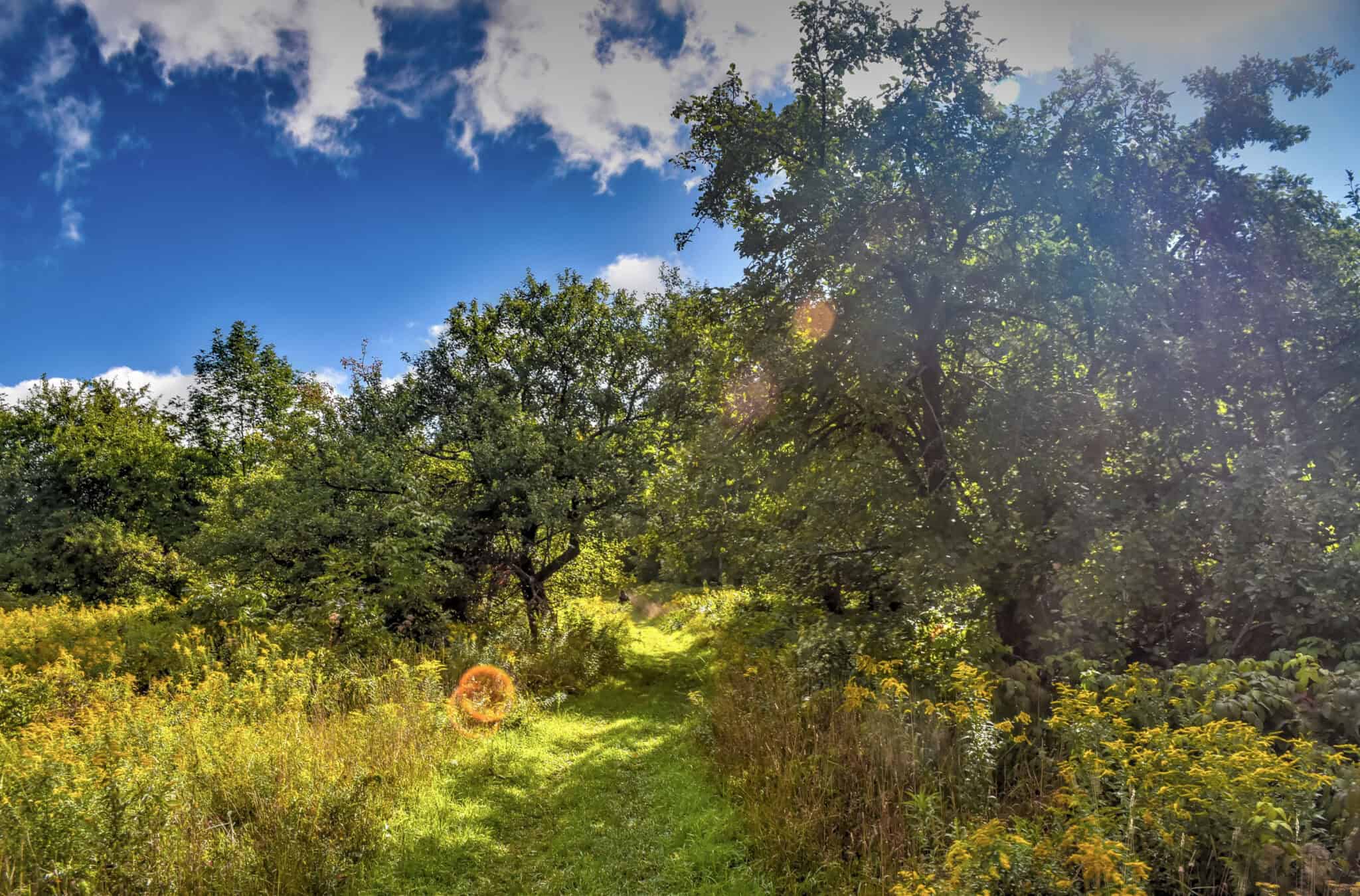 Yamaska National Park - Best Trails and Hiking Guide