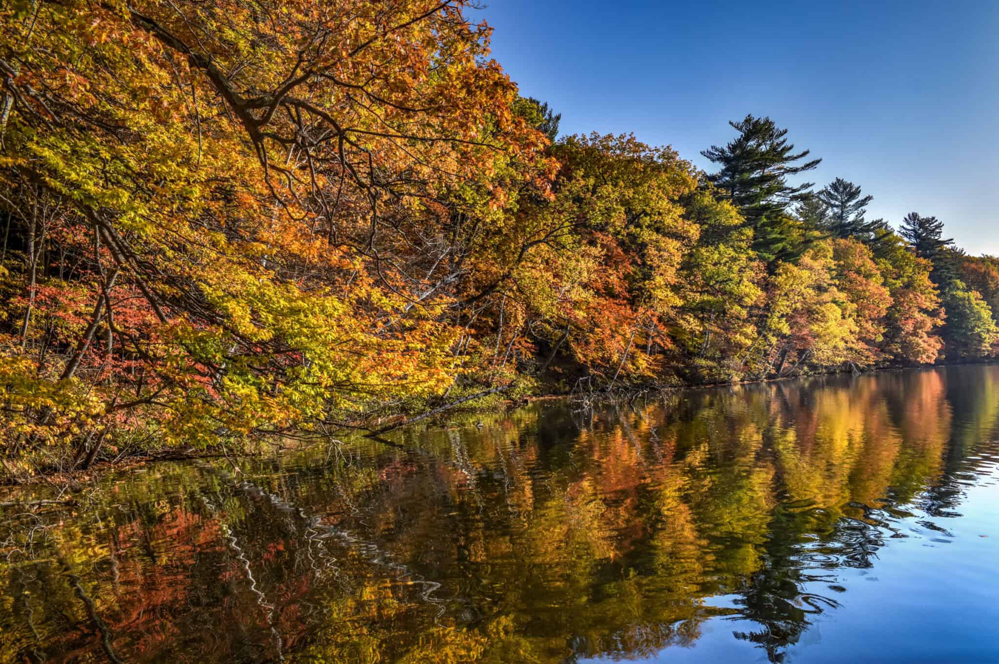 Mont Saint-Bruno National Park - Best Trails and Hiking Guide