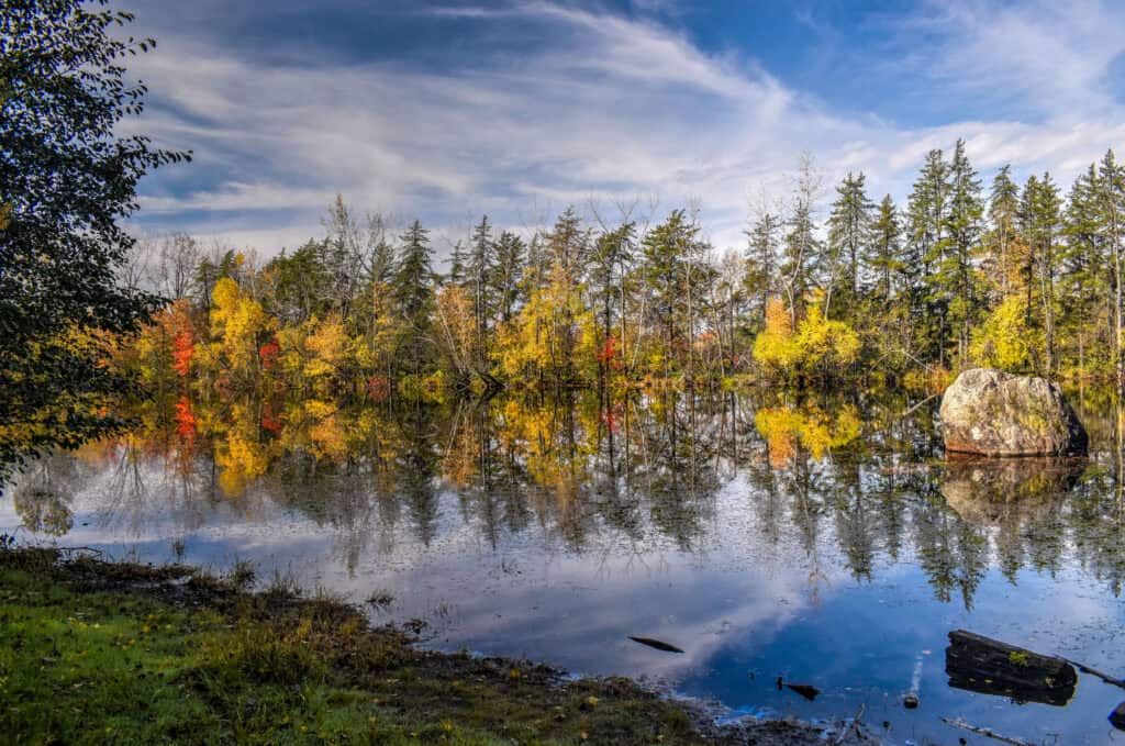 Mont Saint-Bruno National Park - Best Trails and Hiking Guide