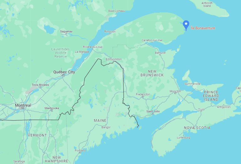 Île-Bonaventure National Park and Northern Gannet Travel Guide