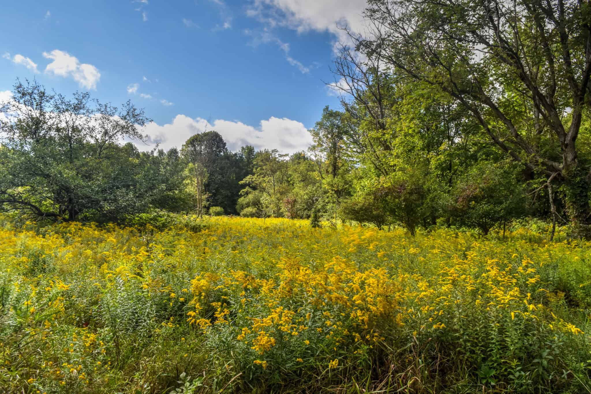 Yamaska National Park - Best Trails and Hiking Guide