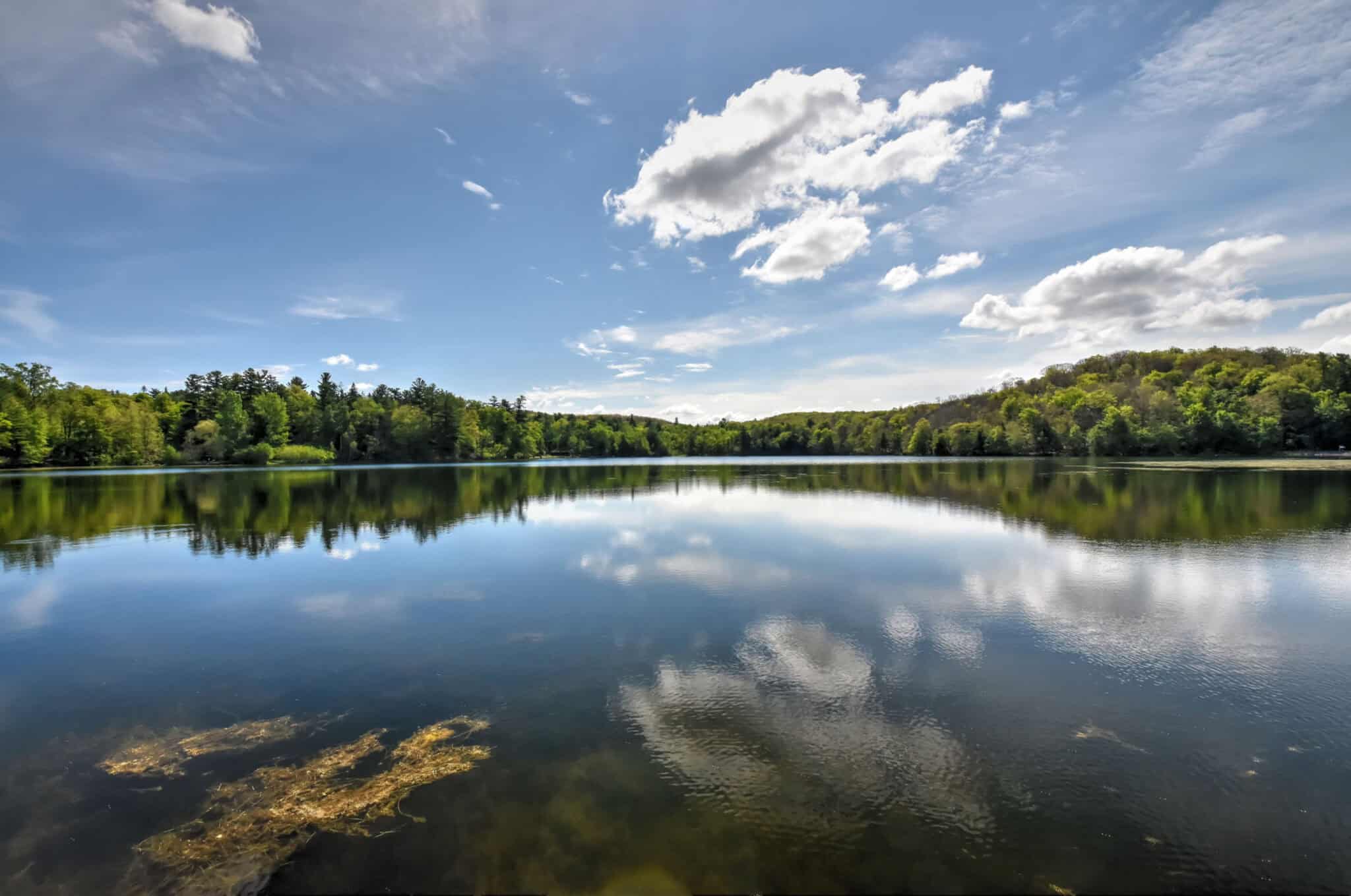 Mont Saint-Bruno National Park - Best Trails and Hiking Guide