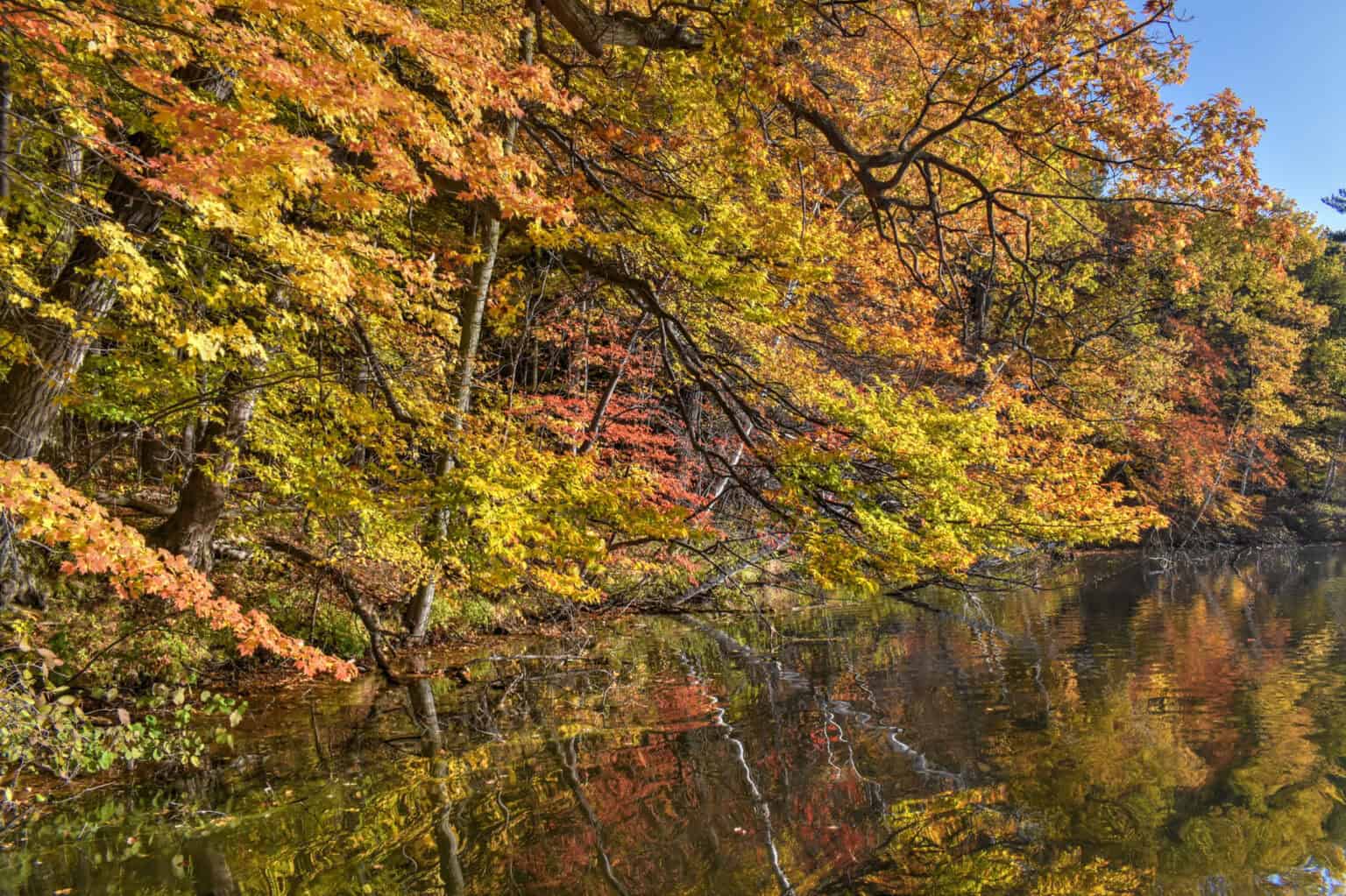 Mont Saint-Bruno National Park - Best Trails and Hiking Guide