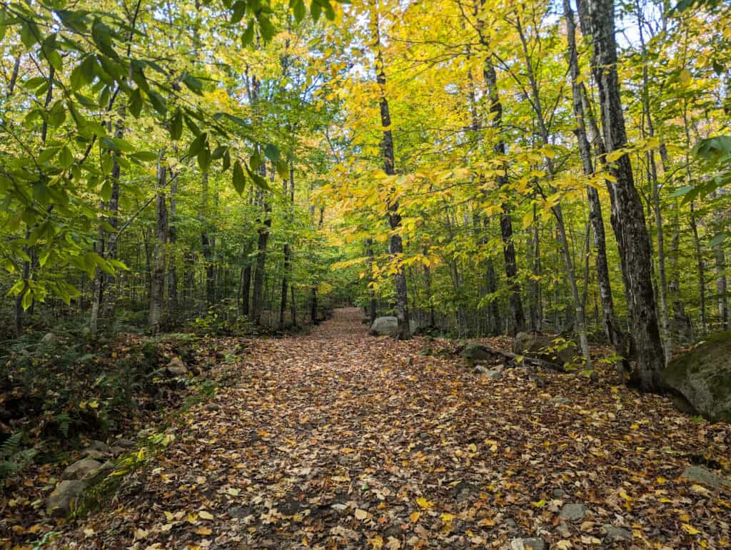 Montagne Noire Hiking Guide