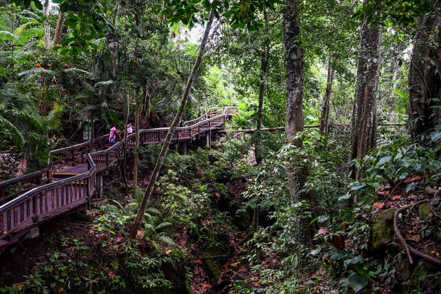 Bali's Ubud Monkey Forest - A Visiting Guide