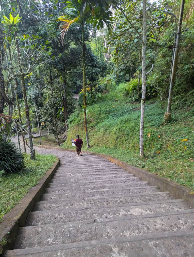 Bali's Pura Mengening - A Temple Visiting Guide