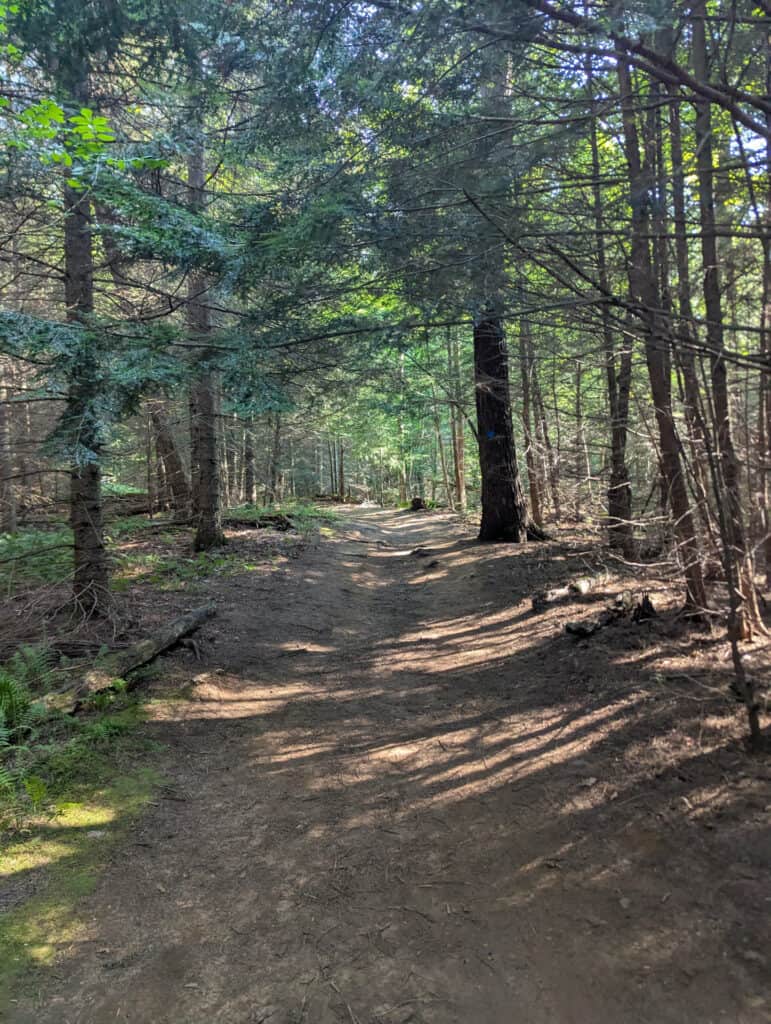 Booth’s Rock Trail - An Algonquin Hiking Guide