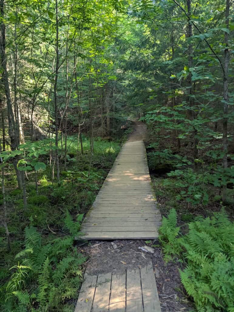 Booth’s Rock Trail - An Algonquin Hiking Guide