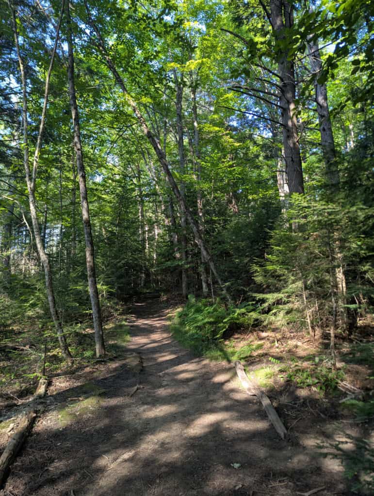 Booth’s Rock Trail - An Algonquin Hiking Guide