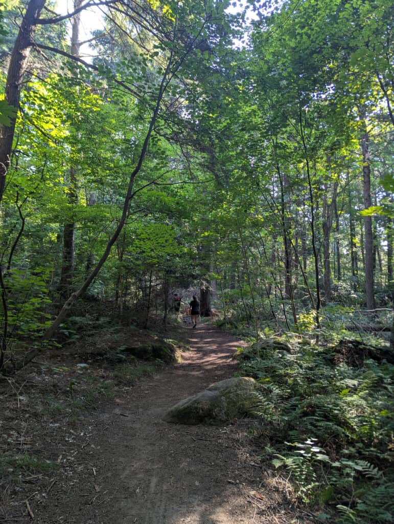 Booth’s Rock Trail - An Algonquin Hiking Guide