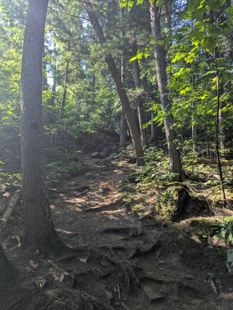 Booth’s Rock Trail - An Algonquin Hiking Guide
