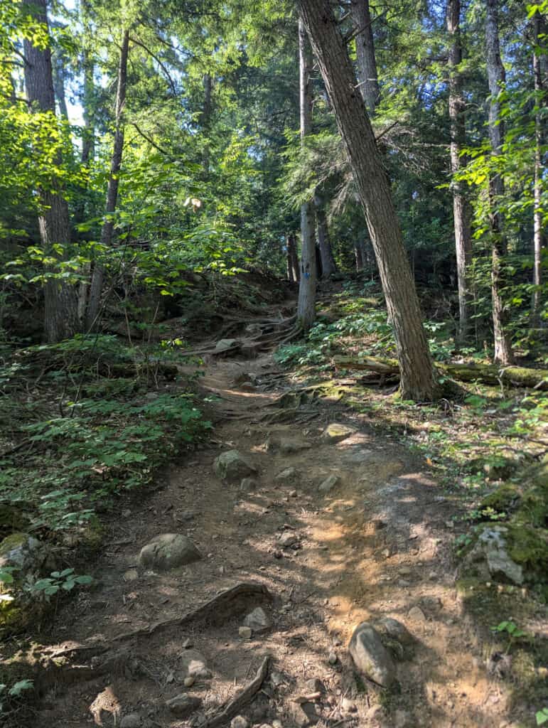Booth’s Rock Trail - An Algonquin Hiking Guide