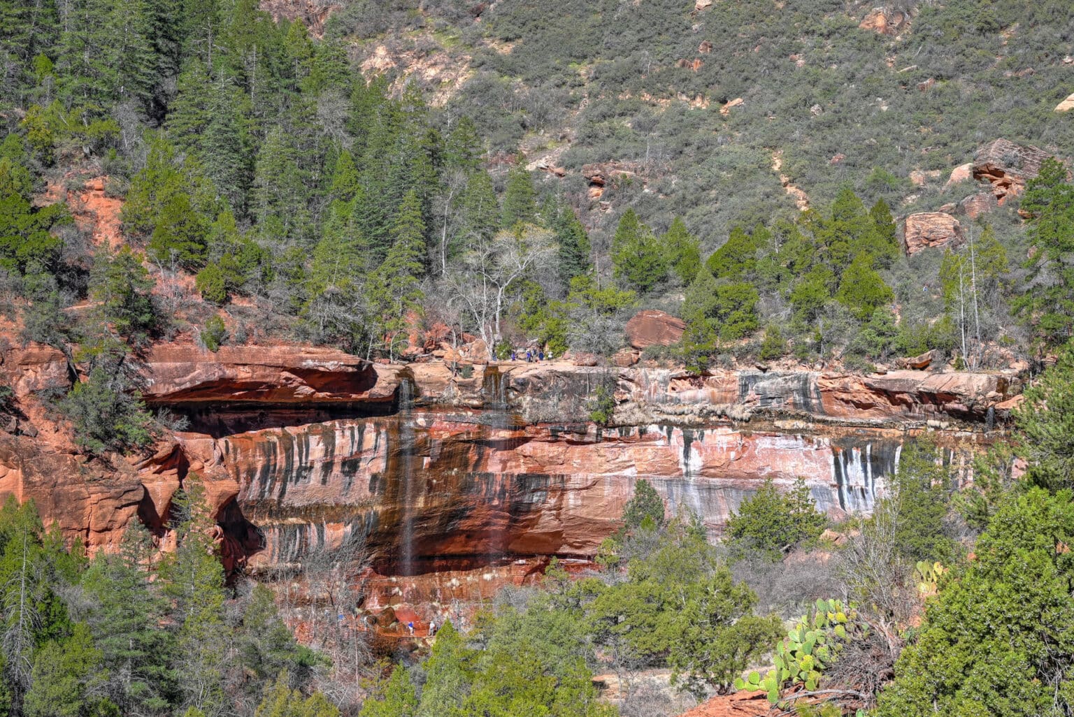 Emerald Pools | Zion Hiking Guide