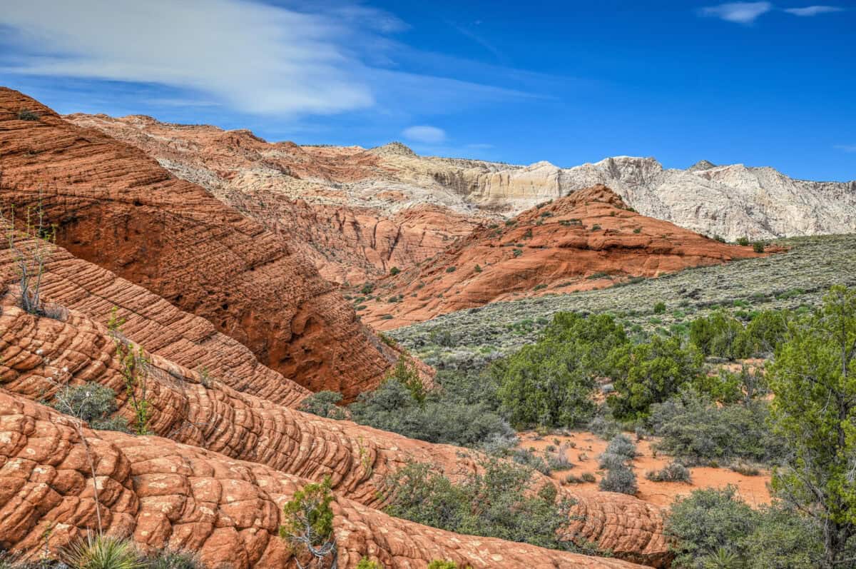 Snow Canyon State Park Guide | Day Trip | How to Spend a Day