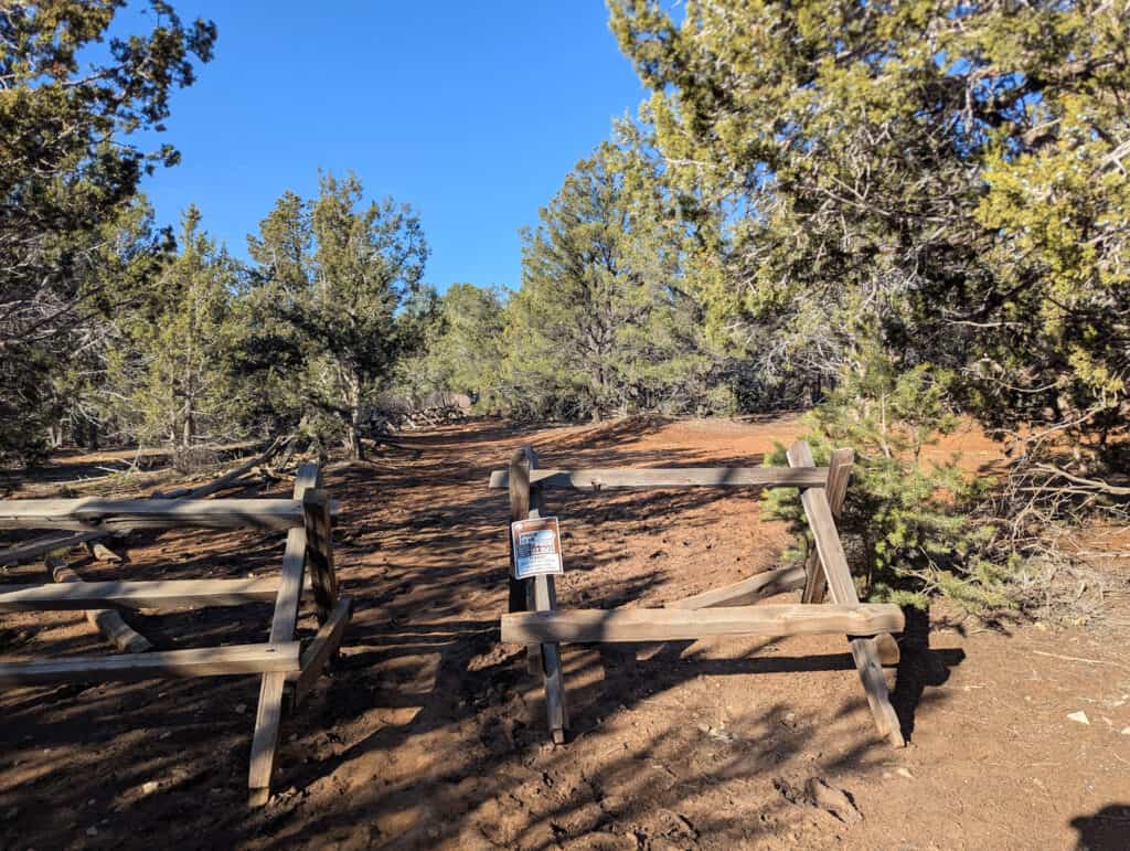 Observation Point via East Mesa | Zion Hiking Guide