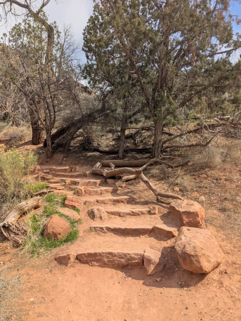 The Watchman Trail | Zion Hiking Guide