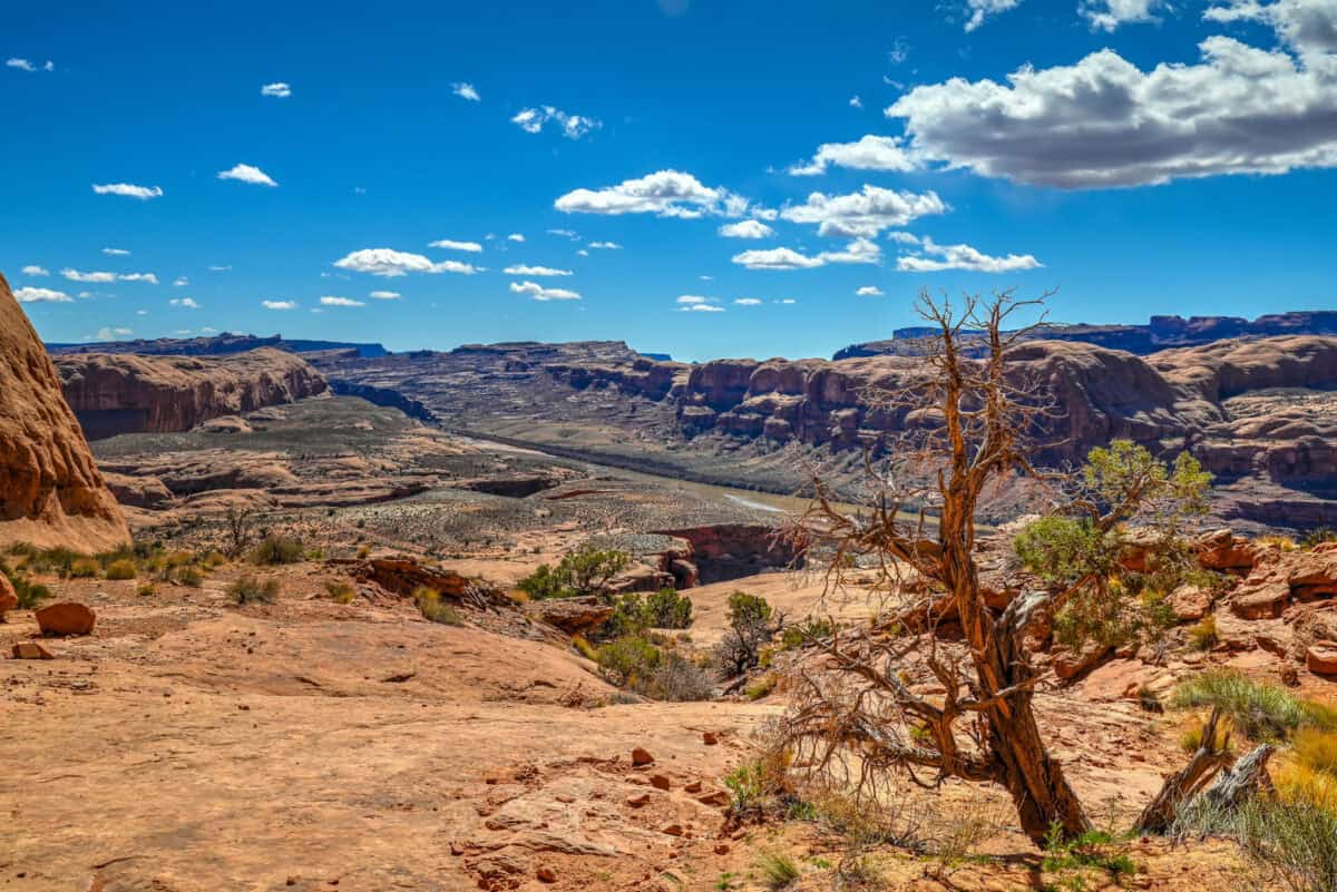 Best Hikes Around Moab, Utah – Arches, Canyonlands & Scenic Desert Trails